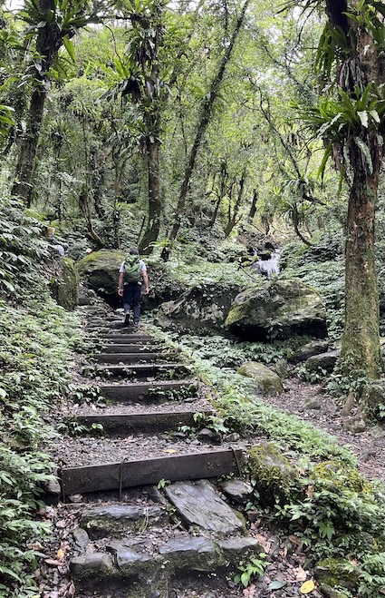 Matcha Mountain (Sacred Mother Trail) in Yilan: Hiking Guide, Transport ...